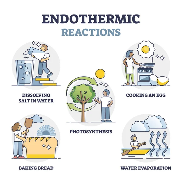Endothermic Reaction: Understanding and Examples | Queen Elizabeth Academy